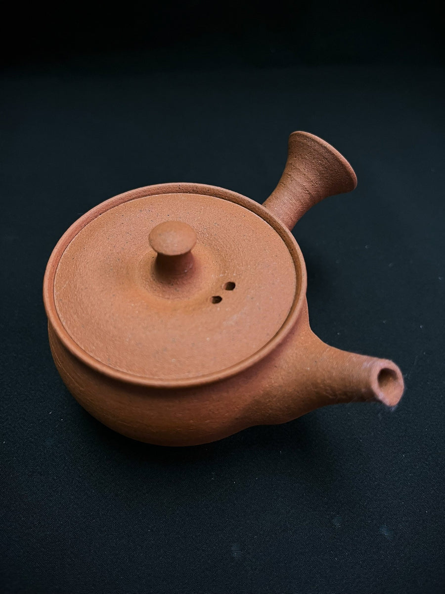 Iga Natural Red Clay Tea Pot No. 2B – HOJO TEA MY