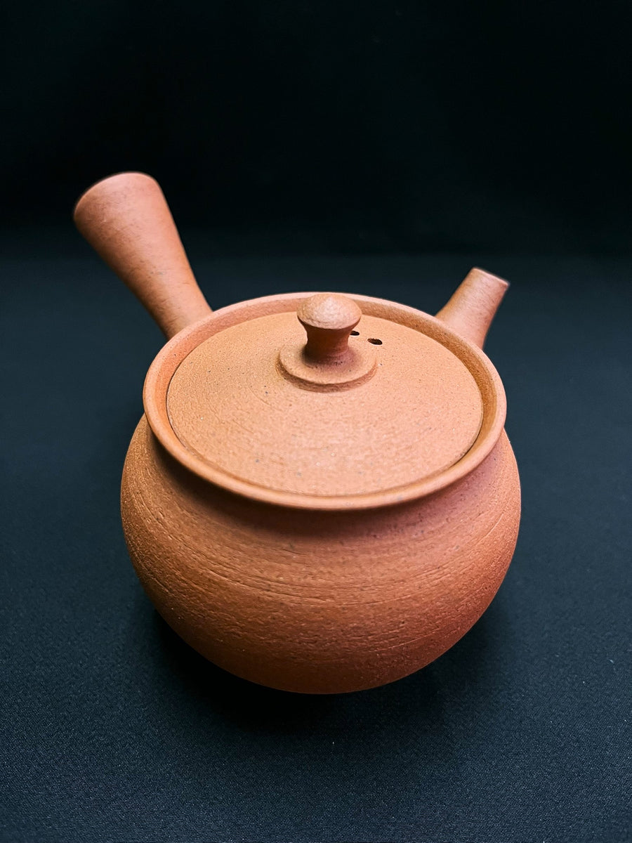Iga Natural Red Clay Tea Pot No. 3A-1 – HOJO TEA MY